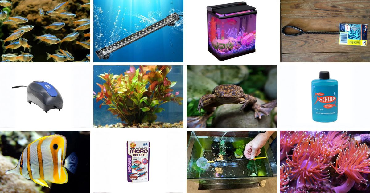 All Products – AquariumFish.com