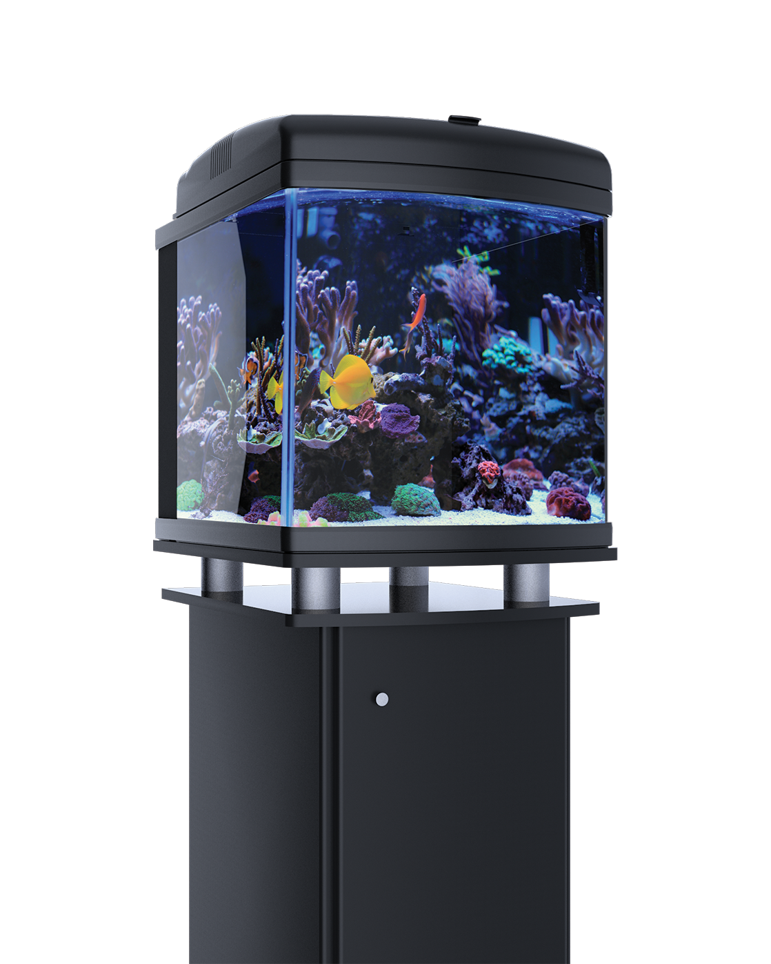 Aquariums – AquariumFish.com